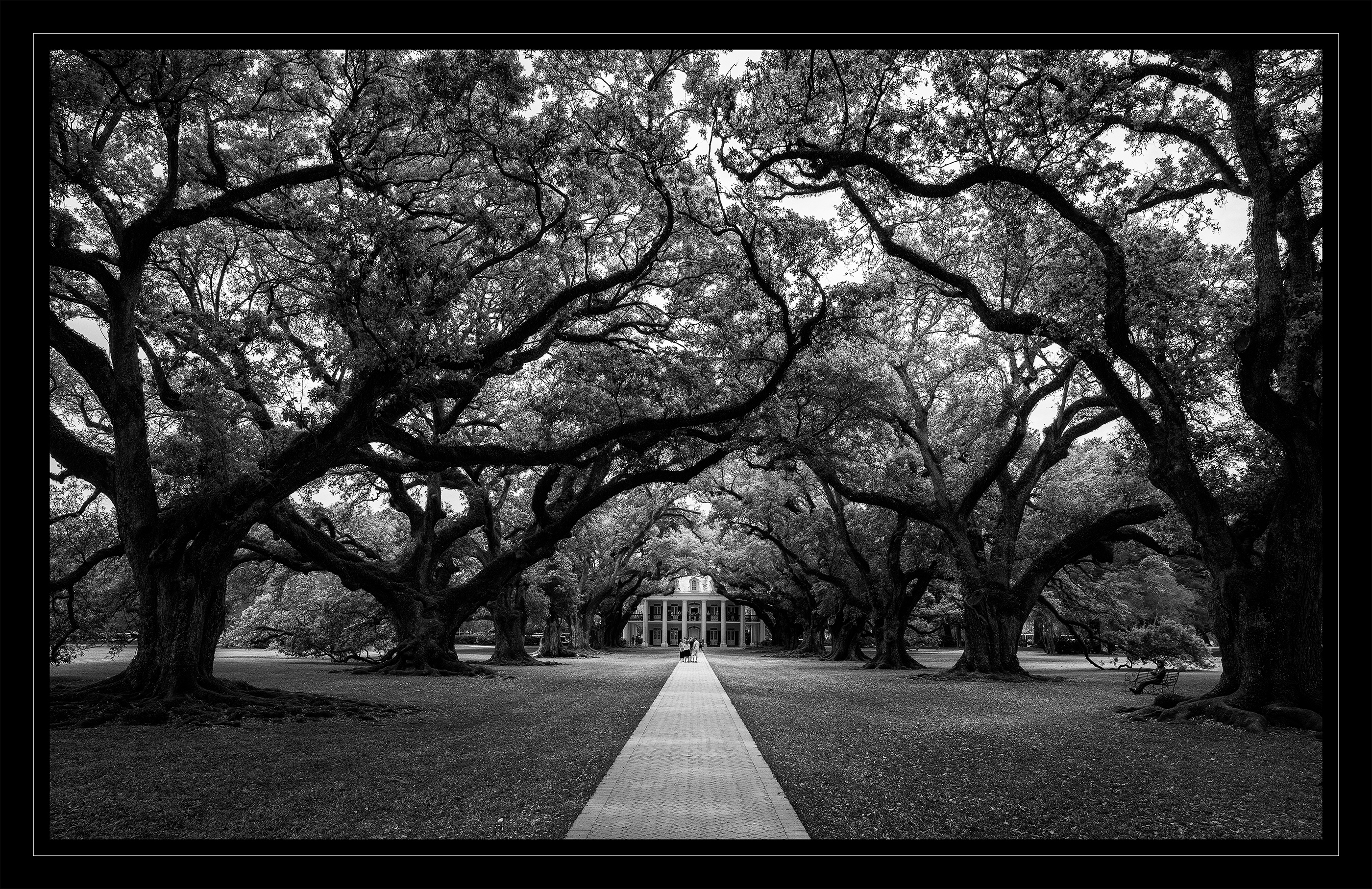 The Perfect Exposure Gallery || The Perfect Exposure Gallery ||
